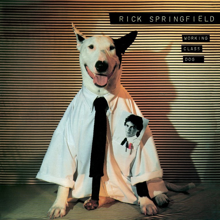 1981-2 | Working Class Dog