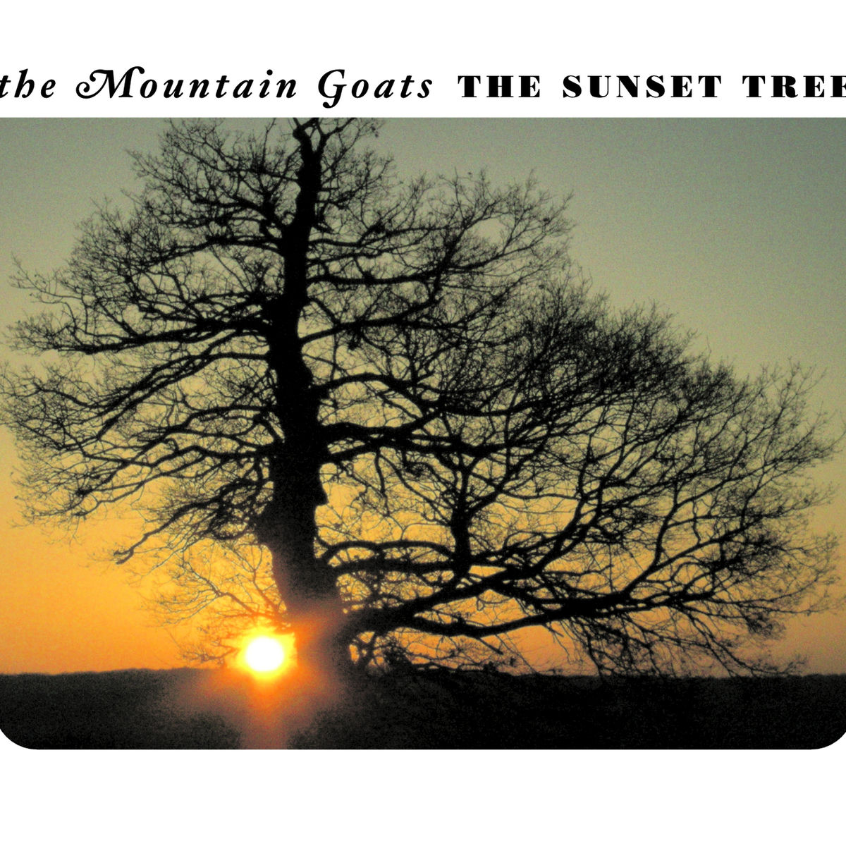 2005-4 | The Sunset Tree